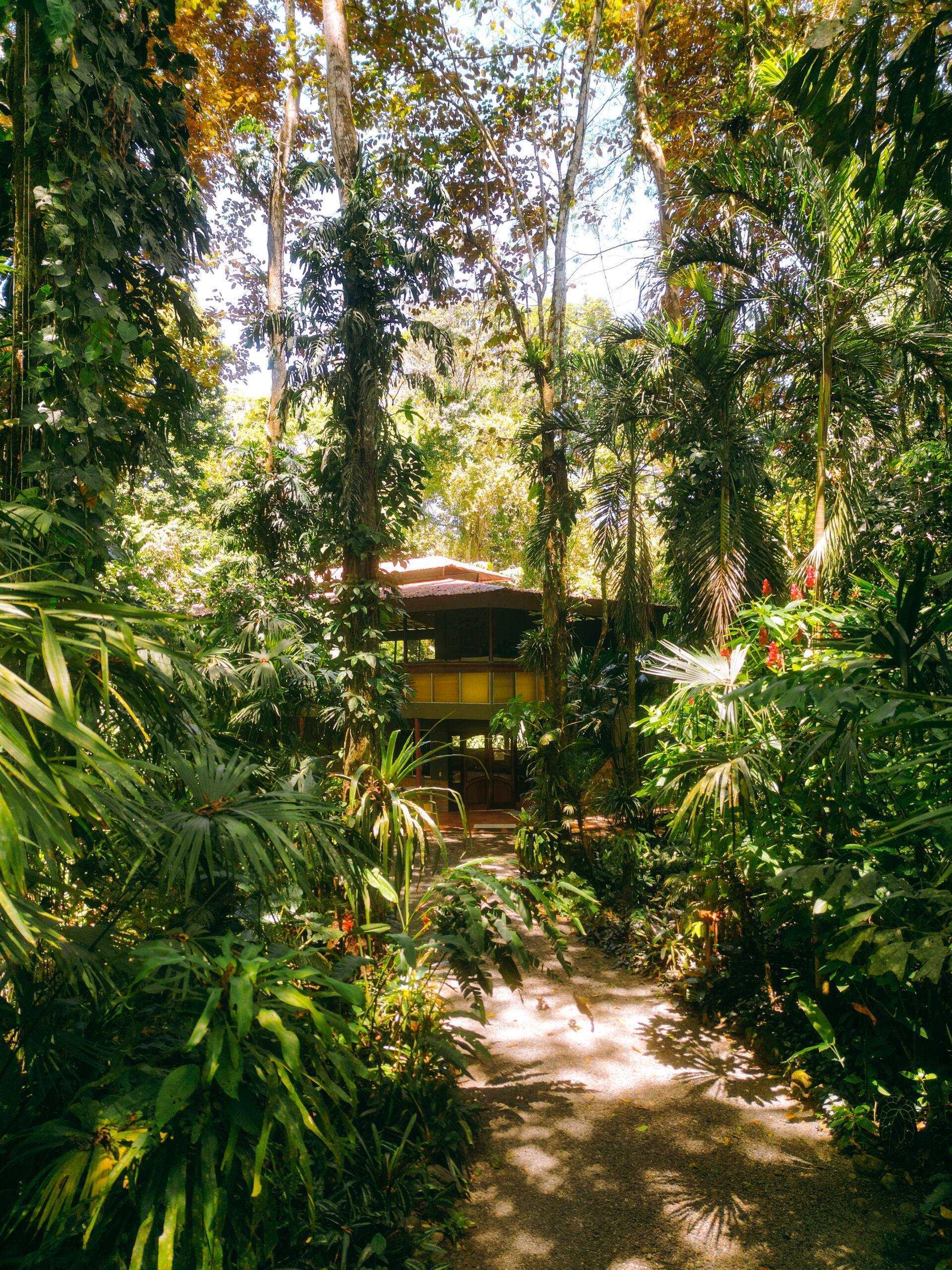 About Us - The Goddess Garden